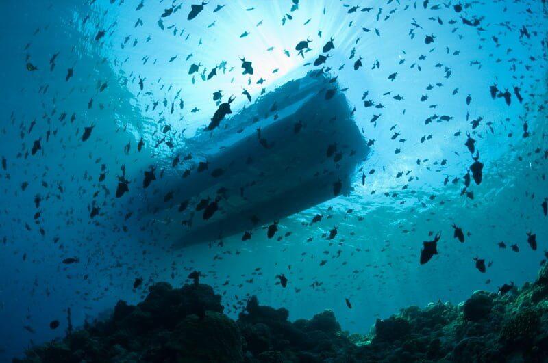 The Best Scuba Diving in Sulawesi | ZuBlu